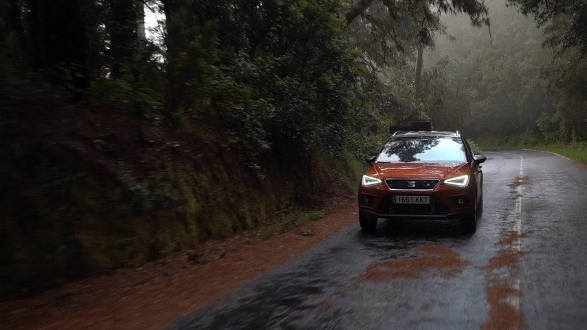 Learn about Tips for Autumn Driving | SEAT UK